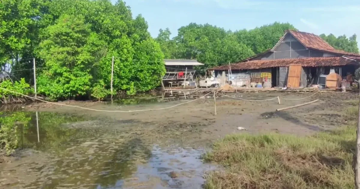 Rob Rendam Ratusan Rumah dan Lahan Produktif di Pidodokulon